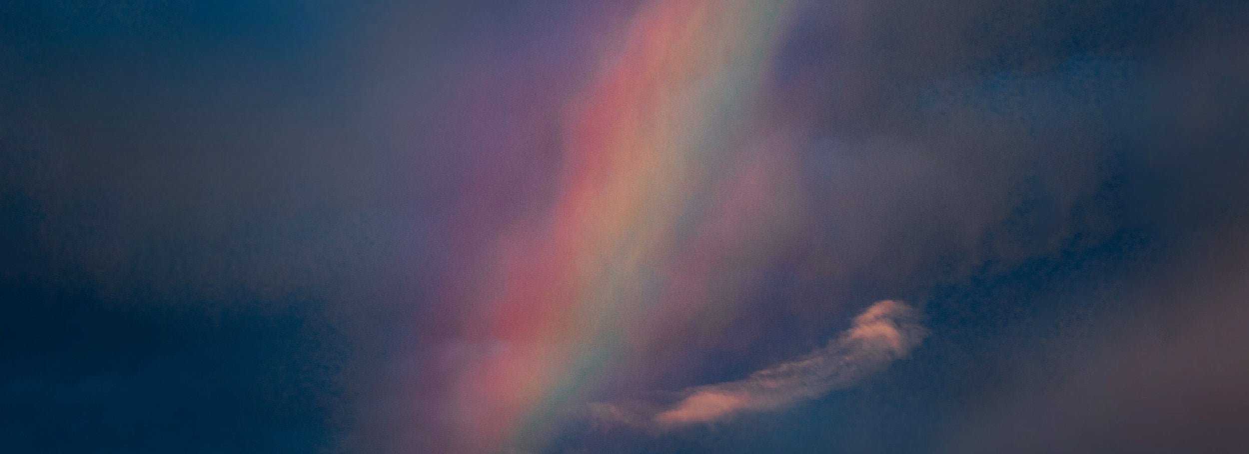 Skeletal Lightning - Official Site - Vinyl, Merch, News, Tours & More